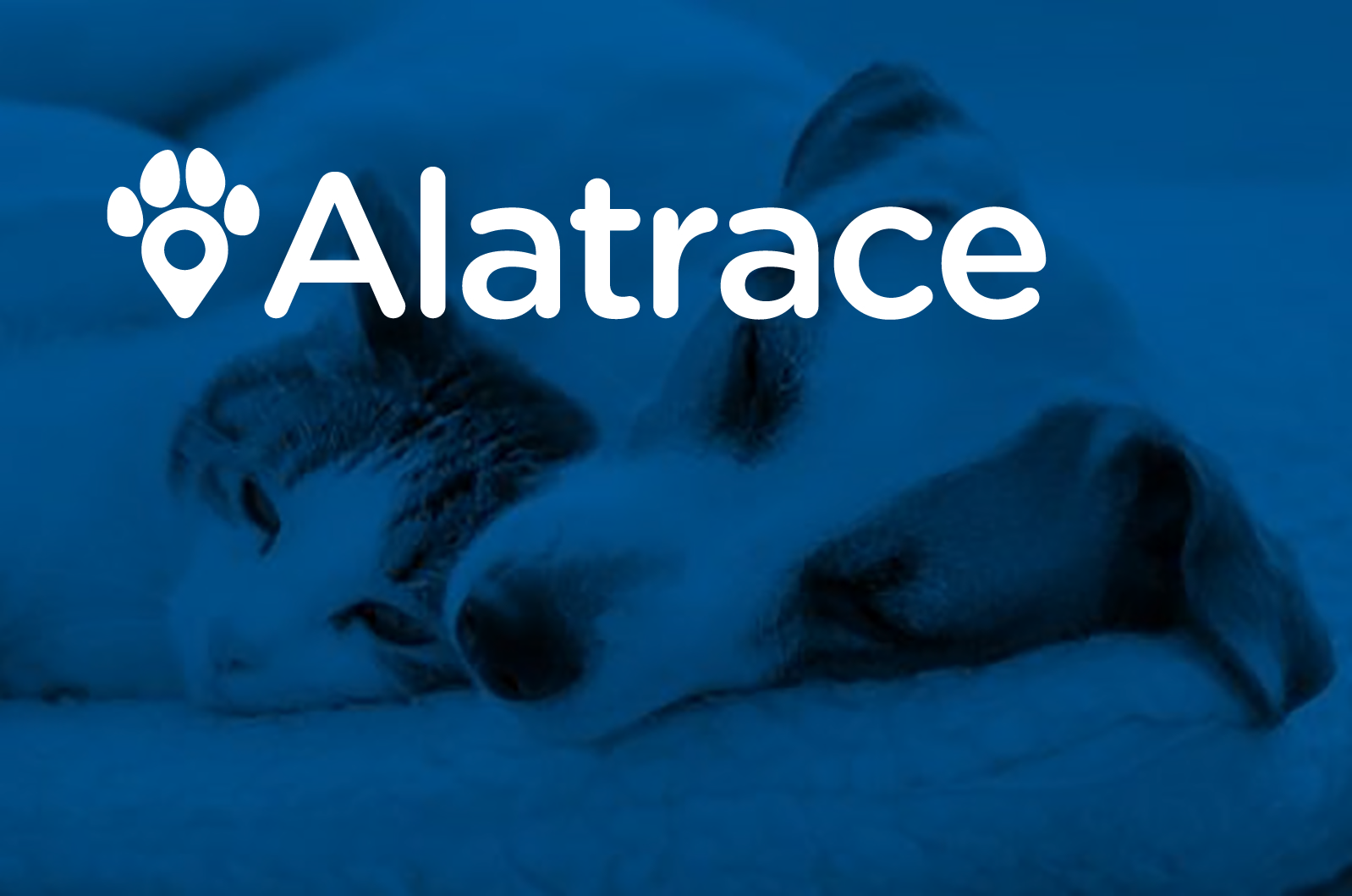 Nouveau site Web pour Alatrace, la solution de choix pour implanter et ...